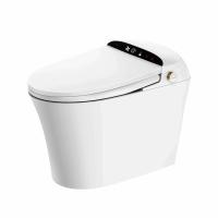 China Remote Control WC Toilet Bowl Smart Washdown Water Closet 395x675x500mm for sale