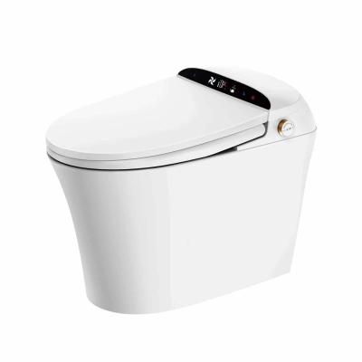 China Remote Control WC Toilet Bowl Smart Washdown Water Closet 395x675x500mm for sale