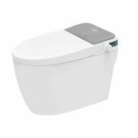 China White Intelligent Water Closet Remote Control Washdown WC Pan 405x685x480mm Orin OR8108 for sale