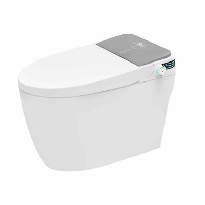 China White Intelligent Water Closet Remote Control Washdown WC Pan 405x685x480mm Orin OR8108 for sale