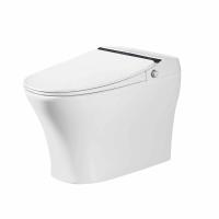 China One Piece Modern Smart Toilet User Friendly Remote Control Toilet 410x690x475mm Orin OR8111 for sale