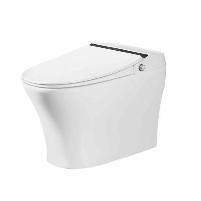 China One Piece Modern Smart Toilet User Friendly Remote Control Toilet 410x690x475mm Orin OR8111 for sale