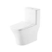 China OEM Factory Dual Flush One Piece Toilets 380x700x750mm Orin OR8217 For Bathroom for sale
