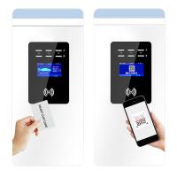 China RuiQ M11 CCS EV DC Fast Charging Station 60kW 120kW 300-750V for sale