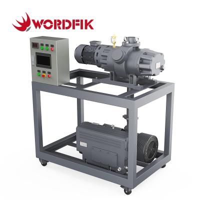 China Custom Single Stage Oil Sealed Rotary Vane Roots Vacuum System for sale