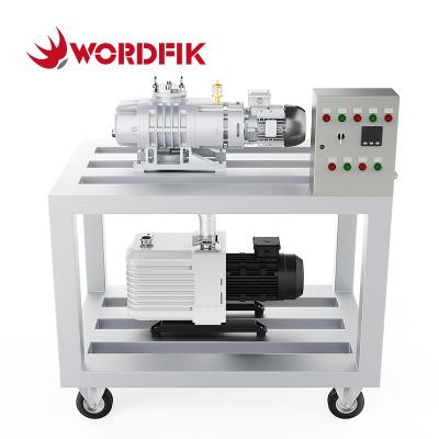 China Two Stage Oil Sealed Rotary Vane Roots Pump Vacuum System for sale