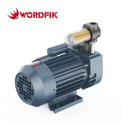 China 8m³/h 150mbar Oil Less Dry Rotary Vane Vacuum Pump For Vacuum Veneering System for sale