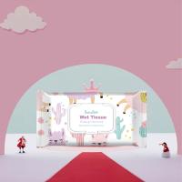 China Feminine  Custom Private Label Skin Care free alcohol Makeup Remover Cleansing Wipes for Face for sale