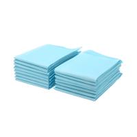 China Puppy Pee Training Disposable Pet Pads 60x60mm 60x90mm Sustainable Disposable Pet Pads for sale