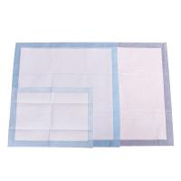 China 5 Layers Non Woven Topsheet Disposable Pet Indoor Pee Pad For Dogs for sale