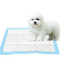 China Disposable Absorbent Indoor Pet Urine Pad Puppy Training Dog Urine Pad for sale