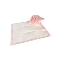 China Disposable Absorbent Indoor Pet Urine Pad Puppy Training Dog Urine Pad for sale