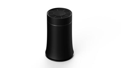 China 20m2 Portable Anion Air Purifier Household Air Cleaner With Hepa Filter for sale