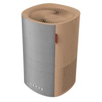 China DC24V Negative Ion Generator Air Purifier with Hepa Filter For 12 Sq Ft Area for sale