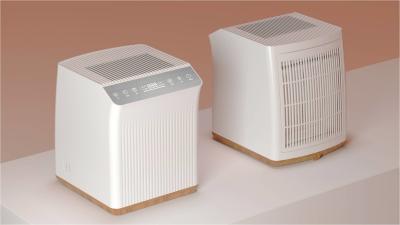 China Desktop HEPA Filter Air Purifier Electric 100-240V Negative Ion Generator for sale