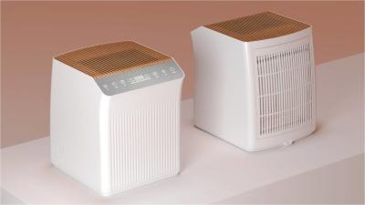 China Room Desktop PM2.5 Air Cleaner With Hepa Filter Negative Ion HEPA H13 Air Purifier for sale