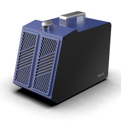 China Home Rooms Commercial Ozone Generator 10000mg/H O3 Generator Air Purifier for sale