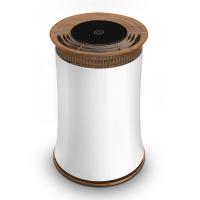 China TV Shopping Small Appliance Gift HEPA 13 Air Purifier Desktop For Home Room for sale