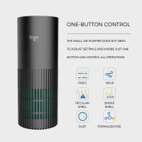 China OEM Portable Mini Car Air Purifier With True Hepa Filter 310x110x75mm for sale