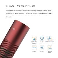 China H13 HEPA Car Air Purifier for sale