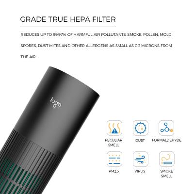 China Removes PM2.5 Car Air Purifier Ionizer 10 Million Negative Ions Kills 99.9% Viruses for sale