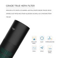 China Removes PM2.5 Car Air Purifier Ionizer 10 Million Negative Ions Kills 99.9% Viruses for sale
