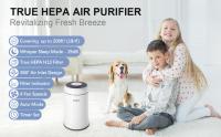 China Desktop Mini Anion Air Purifier With Hepa Filter KC Certificate for sale