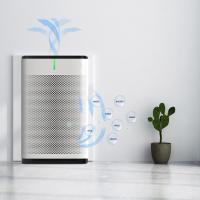 China Negative Ion HEPA Filter Air Purifier Anion Air Cleaner With Night Light Timer for sale