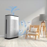 China Negative Ion HEPA Filter Air Purifier Anion Air Cleaner With Night Light Timer for sale