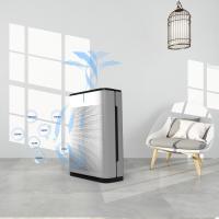 China Negative Ion HEPA Filter Air Purifier Anion Air Cleaner With Night Light Timer for sale