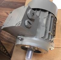 China SIMOTICS GP 1LA7 1LA7063-2AA10 Servo Motor 0.25kW 2830rpm IM B3 Foot Mount IP55 Aluminum Casing for sale