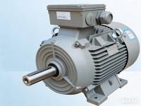 China SIMOTICS GP 1LA7063-2AA11 0.25kW 2 Pole Servo Motor IP55 Aluminum Casing IM B5 Flange Mount for sale