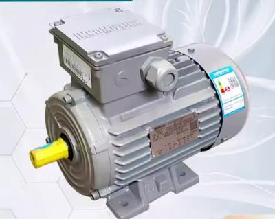 China 1LE0003-0DA22-1FA4 IEC Standard Motor Aluminum Frame Design for sale