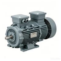 China YASKAWA YVP2-180M-4 18.5kW Variable Frequency Dedicated Three-phase Asynchronous Motor for sale