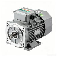 China YASKAWA ECOiPM-100L1-4 2.2kW IE4 Ultra-high Efficiency Permanent Magnet Synchronous Motor 380V 1500rpm for sale