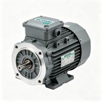 China Yaskawa ECOhIM-90L-4-LT 1.5kW IE3 Low Temperature Industrial Motor 380V 1430rpm for sale