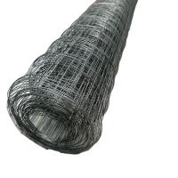 China Hot Dipped Galvanized Welded Wire Mesh BWG14-BWG24 for Animal Cage for sale