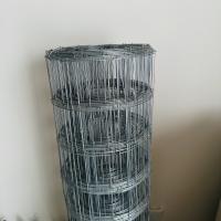 China Hot Dipped Galvanized Welded Wire Mesh BWG14-BWG24 for Animal Cage for sale