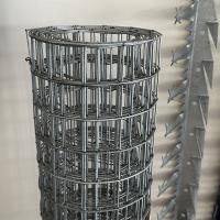 China Hot Dipped Galvanized Welded Wire Mesh BWG14-BWG24 for Animal Cage for sale