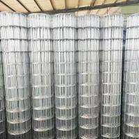 China Electric Galvanized  Roll type Welded Wire Mesh Square hole Rectangle hole for sale