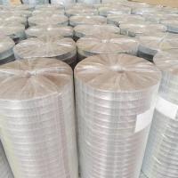 China Protective Net Smooth Surfacestainless Steel Welded Wire Mesh Rolls BWG21 For Bird Cages for sale