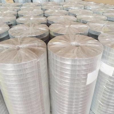 China Protective Net Smooth Surfacestainless Steel Welded Wire Mesh Rolls BWG21 For Bird Cages for sale