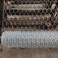 China Galvanized Stainless Steel Hexagonal Gabion Mesh Erosion Resistant For Protection for sale