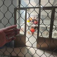 China Durable 316 Stainless Steel Wire Rope Mesh Decoration With Polished Glvanized PVC for sale