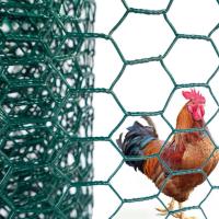 China Galvanized PVC Coated Brass Hexagonal Wire Mesh Chicken Fence Anti Corrosion for sale