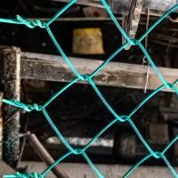 China PVC Coated Galvanized Chainlink Fence Wire Mesh for Garden Protection for sale