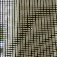 China 18x18 Mosquito Net Fiberglass Window Door Insect Screen Mesh Roll Anti Rust for sale