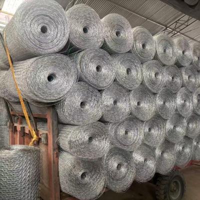 China Animal Husbandrry Galvanized Hex Netting Twist Knitting Hex Wire Fencing for sale