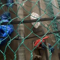 China Flying Tiger Chain Link Mesh Fabric For Agriculture Industry Transportation Security for sale