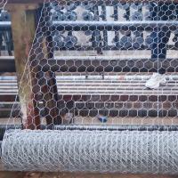 China Galvanized Chicken Hexagonal Wire Mesh Fencing Poultry Netting for sale